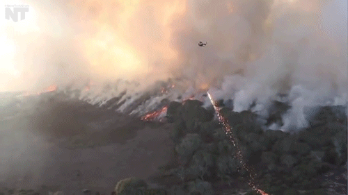 Fire fighting GIFs - Obtenez le meilleur gif sur GIFER