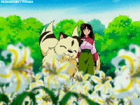 Kirara GIFs - Get the best gif on GIFER