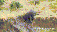 Mud slide GIFs - Get the best gif on GIFER