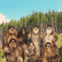 Wookie GIFs - Get the best gif on GIFER