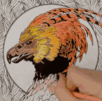 Coloring GIFs - Get the best gif on GIFER