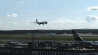 Urgent GIFs - Get the best gif on GIFER