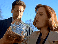 Enigma GIFs - Get the best gif on GIFER