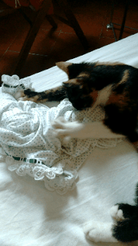 Mutter GIFs - Get the best gif on GIFER