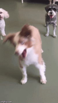 Facilities GIFs - Get the best gif on GIFER