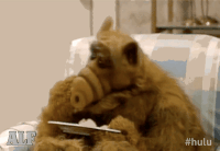 Alf GIFs - Get the best gif on GIFER