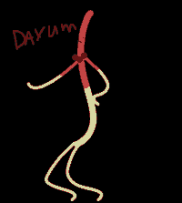 Noodles GIFs - Get the best gif on GIFER