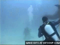 Scuba diving GIFs - Get the best gif on GIFER