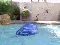 Chaz GIFs - Get the best gif on GIFER