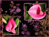 Psd GIFs - Get the best gif on GIFER