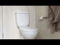 Urine GIFs - Get the best gif on GIFER