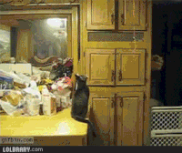 Determined GIFs - Get the best gif on GIFER