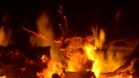 Feuer GIFs - Get the best gif on GIFER