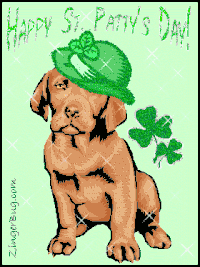 Irish GIFs - Get the best gif on GIFER