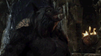 Werewolves GIFs - Get the best gif on GIFER