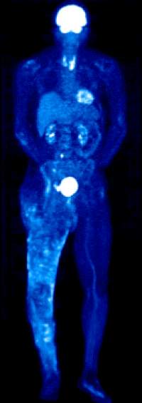 Scanning GIFs - Get the best gif on GIFER