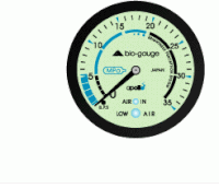 Perception гифки, анимированные GIF изображения perception - скачать ...