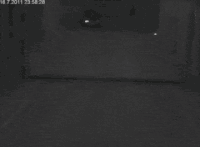 Wth GIFs - Get the best gif on GIFER
