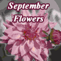 September GIFs - Get the best gif on GIFER