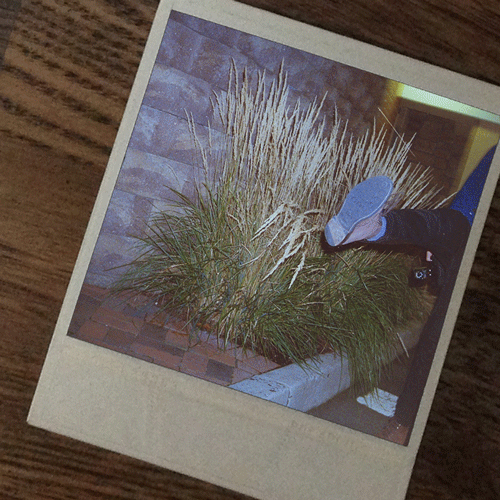 Polaroids in motion GIF - Conseguir o melhor gif em GIFER