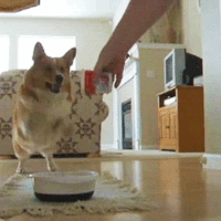 Anyone GIFs - Get the best gif on GIFER
