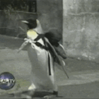 Swagger GIFs - Get the best gif on GIFER