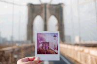 Polaroid GIFs - Get the best gif on GIFER