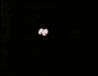 Goober GIFs - Get the best gif on GIFER