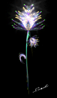 Contacts GIFs - Get the best gif on GIFER