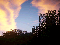 Shader GIFs - Get the best gif on GIFER