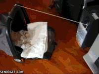 Linux GIFs - Get the best gif on GIFER