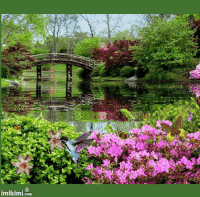 Nature GIFs - Obtenez le meilleur gif sur GIFER