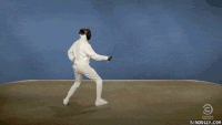 Fencing GIFs - Get the best gif on GIFER
