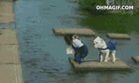 Pulled GIFs - Get the best gif on GIFER