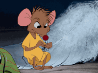 Mouse GIFs - Get the best gif on GIFER