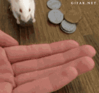 Buy GIFs - Get the best gif on GIFER