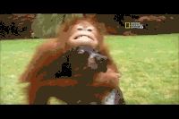 Intolerance GIFs - Get the best gif on GIFER