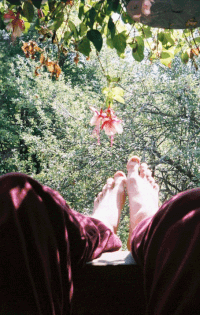 Porches GIFs - Get the best gif on GIFER