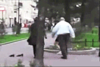 Alt GIFs - Get the best gif on GIFER