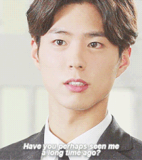 Biases GIFs - Get the best gif on GIFER