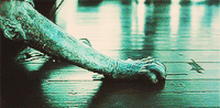 Ringu GIFs - Get the best gif on GIFER