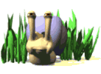 Snail GIFs - Get the best gif on GIFER