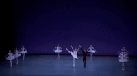 Partnering GIFs - Get the best gif on GIFER