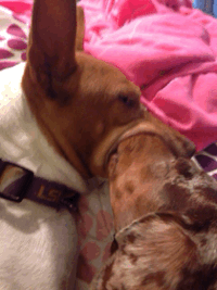 Cuidado GIFs - Get the best gif on GIFER