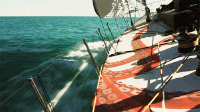 Sailboat GIFs - Get the best gif on GIFER