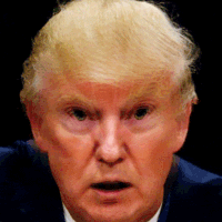 Donaldtrump GIFs - Get the best gif on GIFER