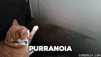 Paranoia GIFs - Get the best gif on GIFER