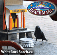 Cuervo GIFs - Get the best gif on GIFER