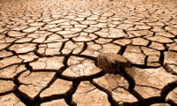 Drought GIFs - Get the best gif on GIFER