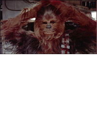 Wookies GIFs - Get the best gif on GIFER